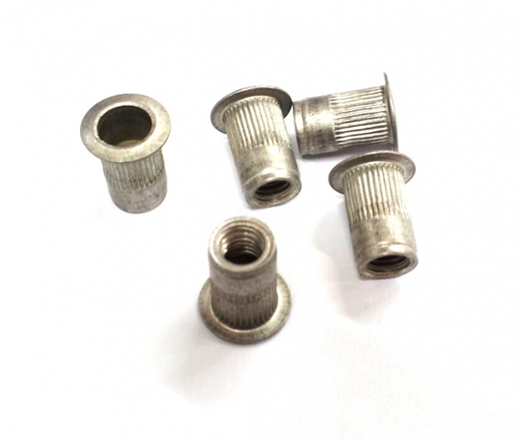 RIVNUTS,BAG OF 5 | 캐논데일